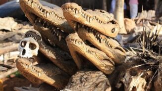 Akodessewa Fetish Market – The Largest Voodoo Market in the World is ...