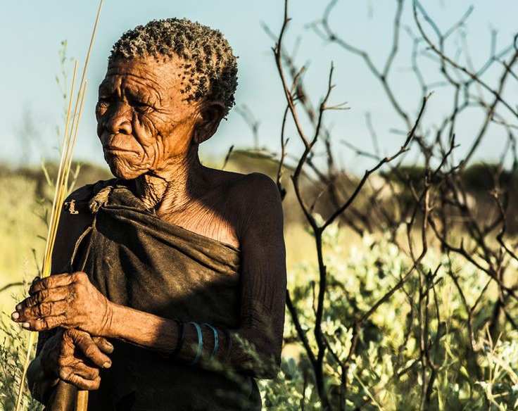 First He Created a Tremendous Tree — The Creation Story of the San ...