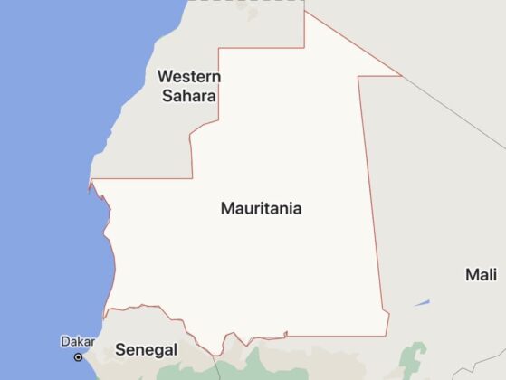 Top 20 Biggest Countries in Africa by Land Area - TalkAfricana