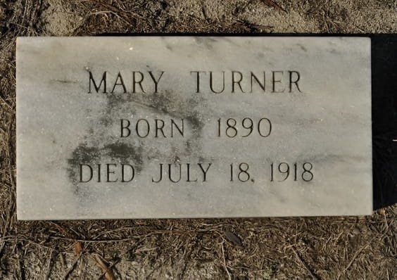 Mary Turner, the Pregnant Black Woman Lynched in 1918 for Condemning ...